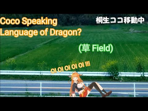 Coco Speaking Language of Dragon? - YouTube