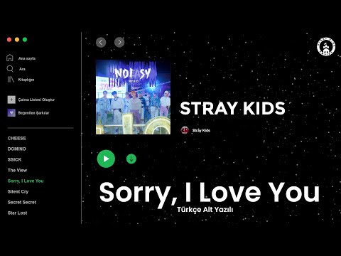 Stray Kids - \