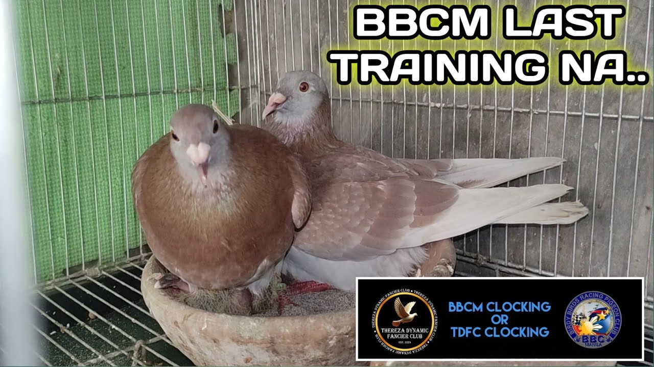 BBCM LAST TRAINING NA.. - YouTube