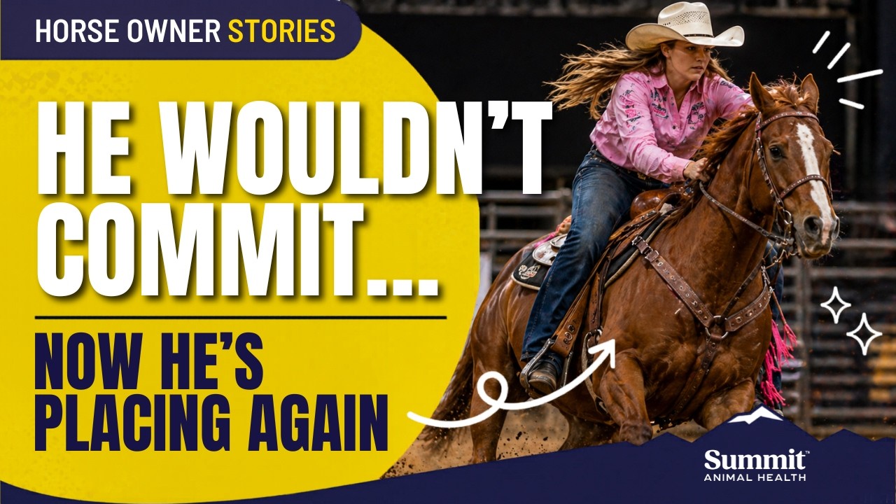 Megan Sprague, A Barrel Racer's Story - YouTube