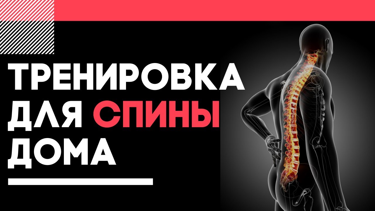 УПРАЖНЕНИЯ ДЛЯ СПИНЫ ЗДОРОВАЯ СПИНА спина упражнениядляспины Youtube