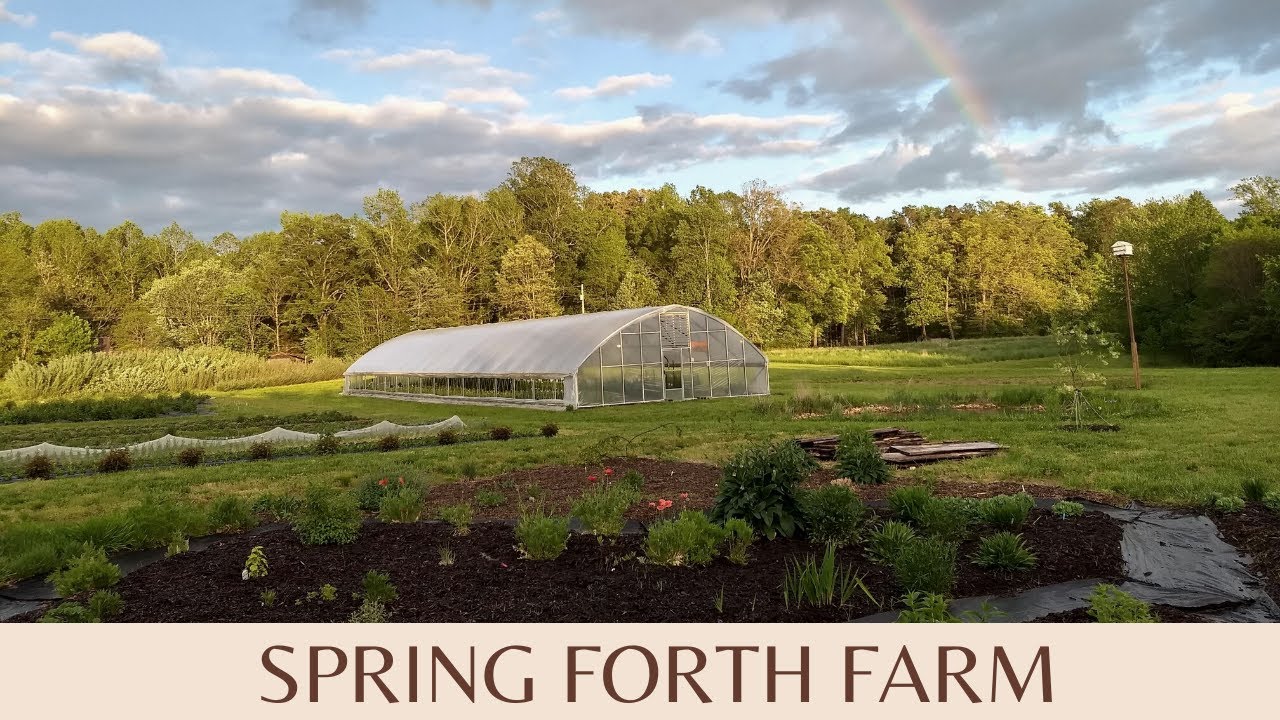 No-Till Farming with Spring Forth Farm - YouTube