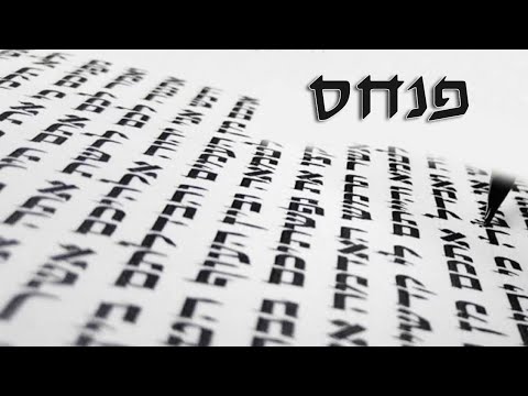 Should we judge everyone favourably? - Parashat Pinchas - Rabbi Alon Anava