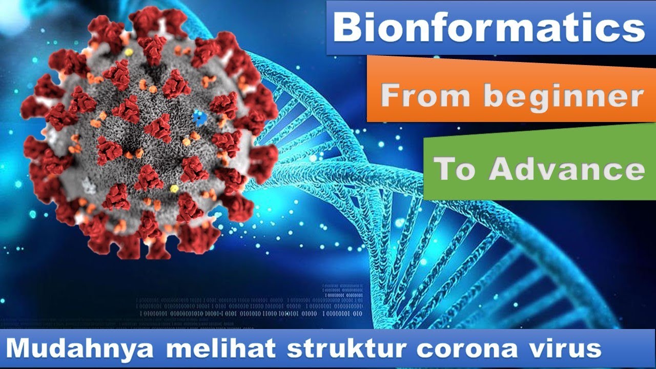 Bioinformatics 2: Pusat data struktur protein | Mudahny mengetahui ...