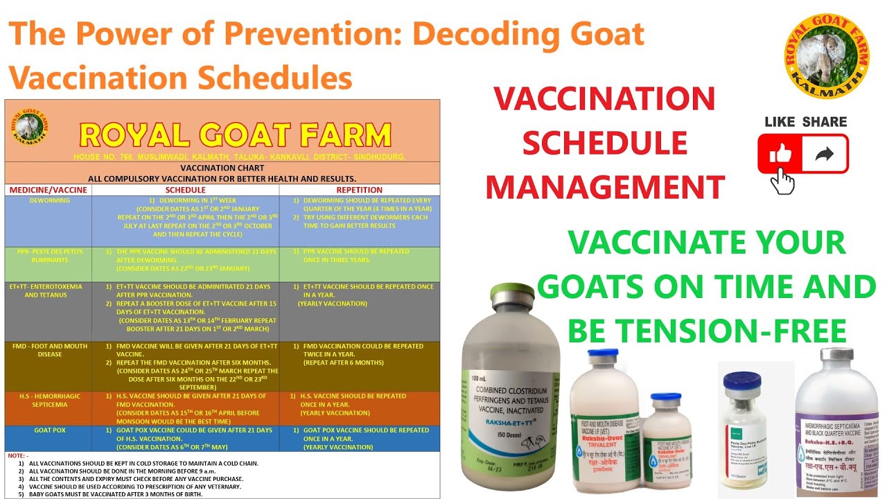 0046 | The Power of Prevention: Decoding Goat Vaccination Schedules ...