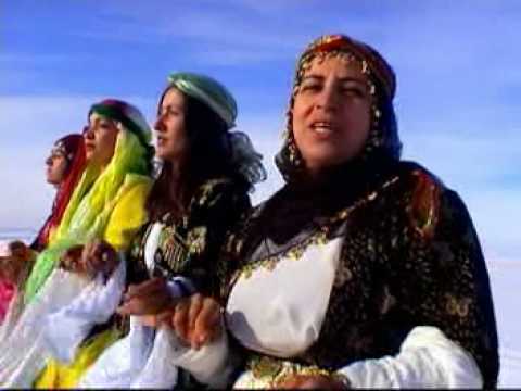 Gazin - Bêşêri