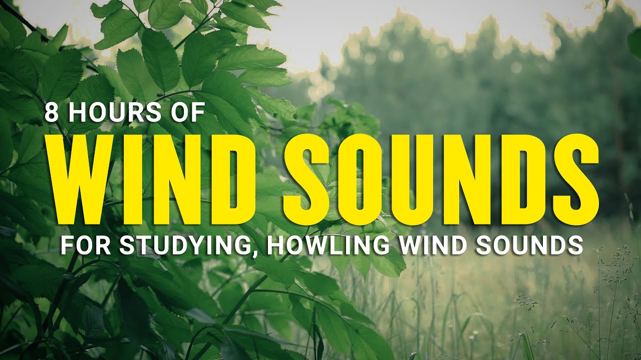 8 Hours of Wind Sounds for Studying, Howling Wind Sounds for Studying ...