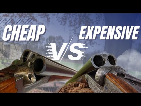 Cheap vs Expensive SXS
