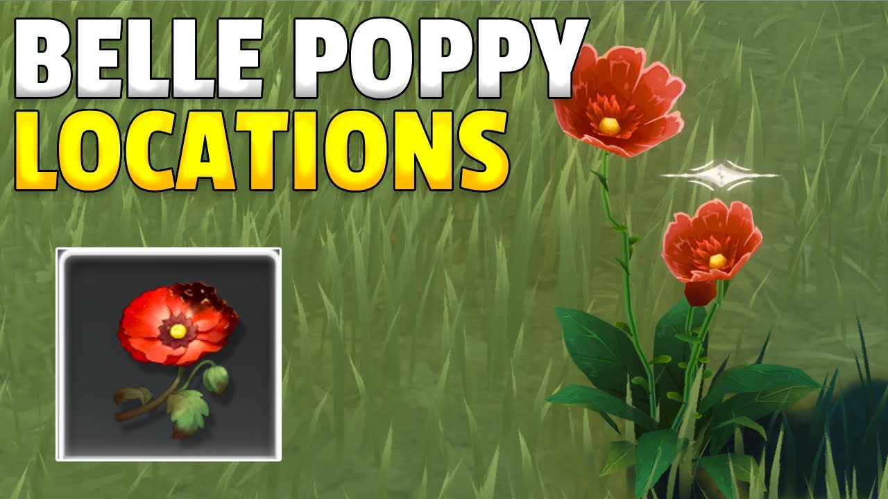Belle Poppy Locations | Farm Route | Wuthering Waves - YouTube