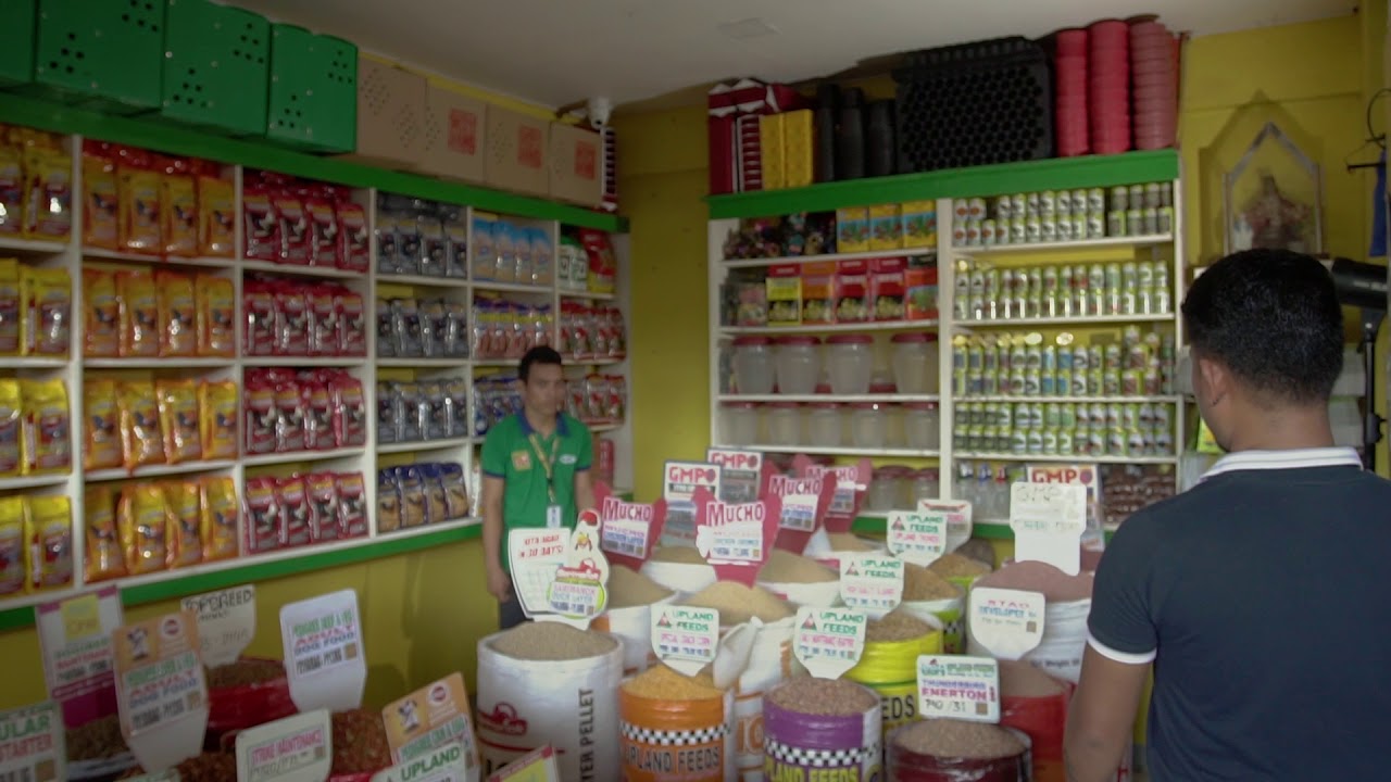 Fortune Agrivet withFinalMix 1 - YouTube