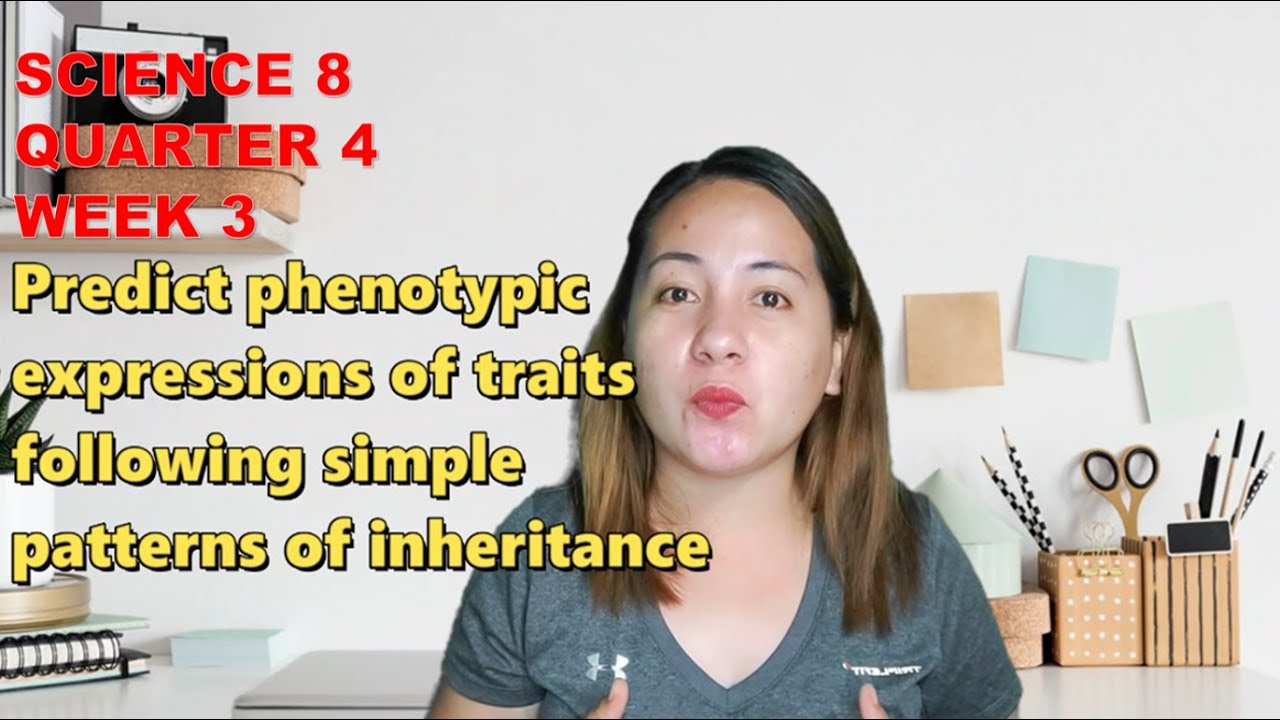 PHENOTYPIC EXPRESSION OF TRAITS [PHENOTYPE] SCIENCE 8 QUARTER 4 WEEK 3 ...