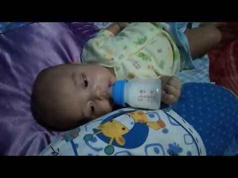 Anak sultan nyusu sendiri