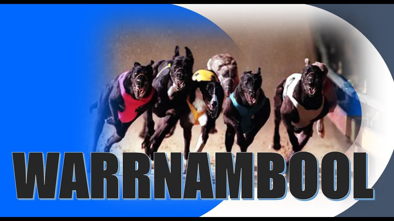 [ WARRNAMBOOL] GREYHOUND RACE ANALYSIS - YouTube