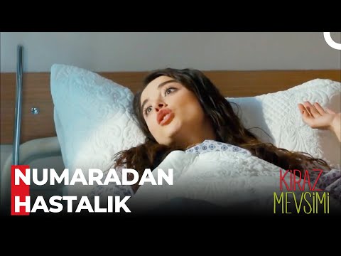 Mete Oyuna Geldi! - Kiraz Mevsimi