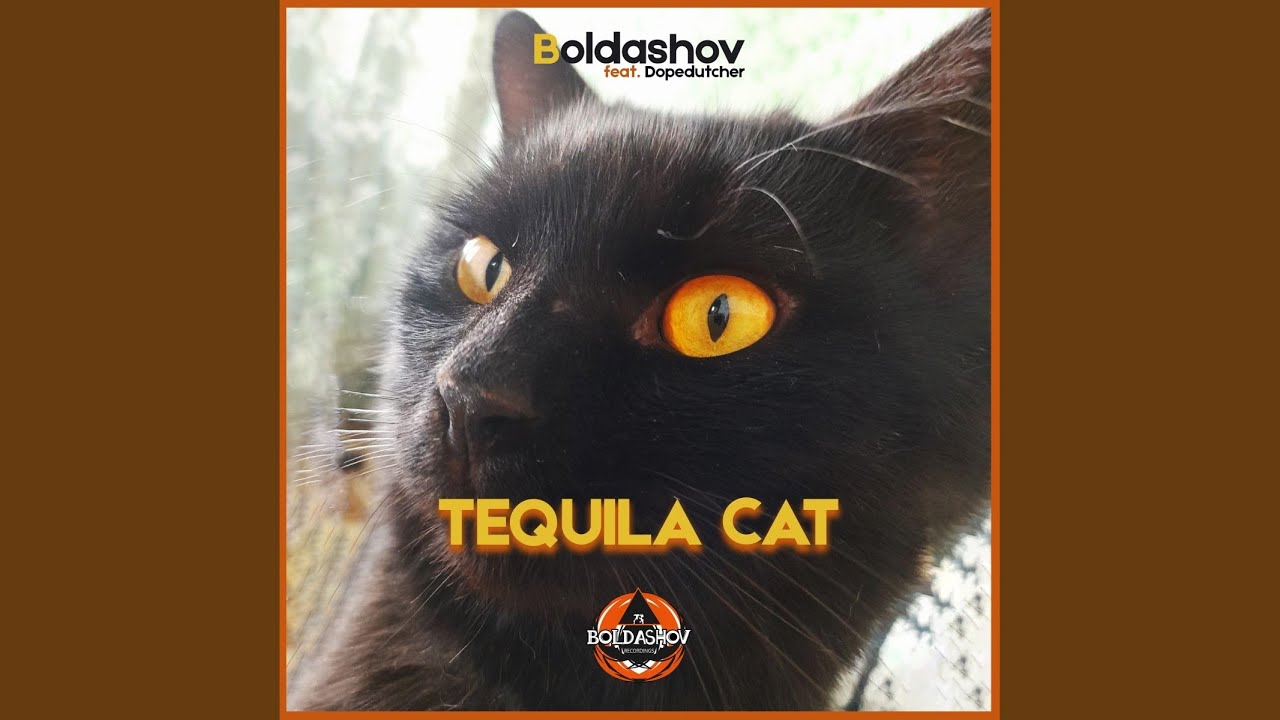 Tequila Cat (Original Mix) - YouTube