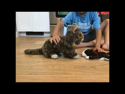 Stuffy battle 10 - YouTube
