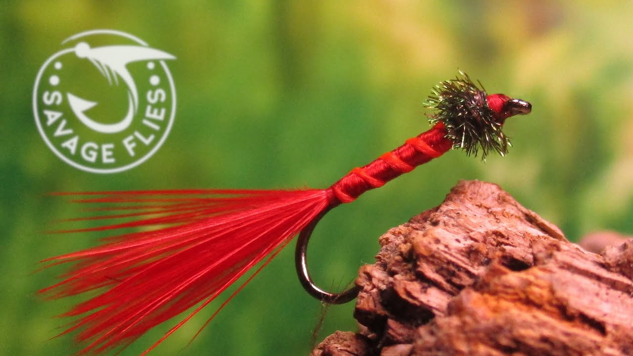 Fly Tying a Bloodworm Larva (Classic style) - YouTube