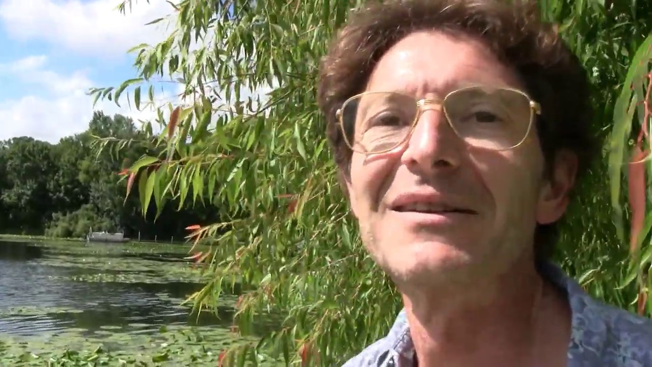 Weed removal with Pond Guy tools Weed Razer Pro and Pond Rake - YouTube