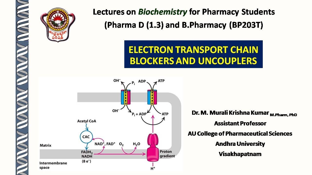electron transport chain blockers and uncouplers - YouTube