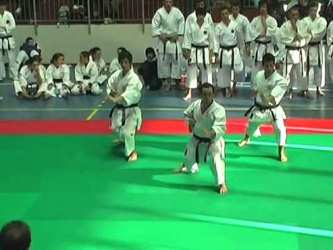 sankukai-kata.wmv - YouTube