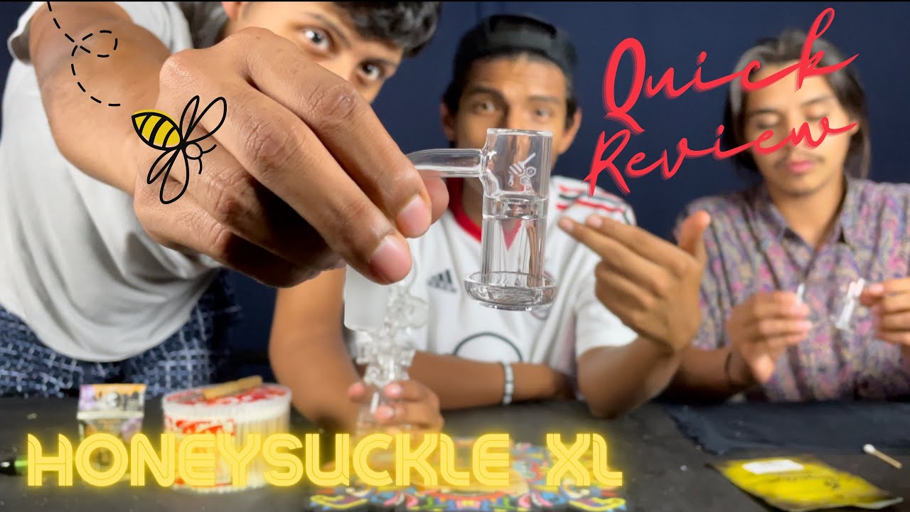 🍯 HONEYSUCKLE XL BANGER REVIEW **QUICKIE** - YouTube