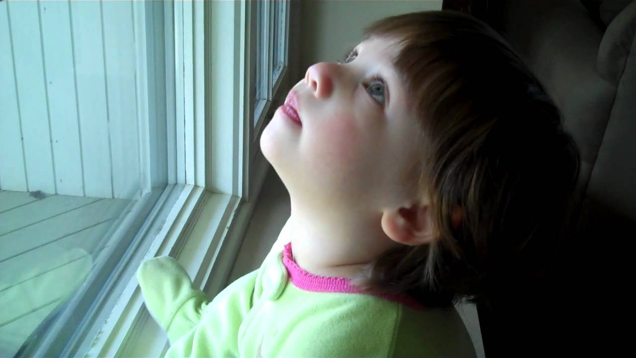 Baby Window Licker - YouTube