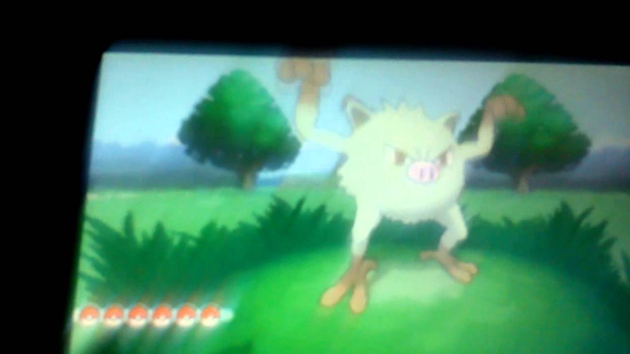 Ferosinge shiny a 2 apparition au safari ami - YouTube
