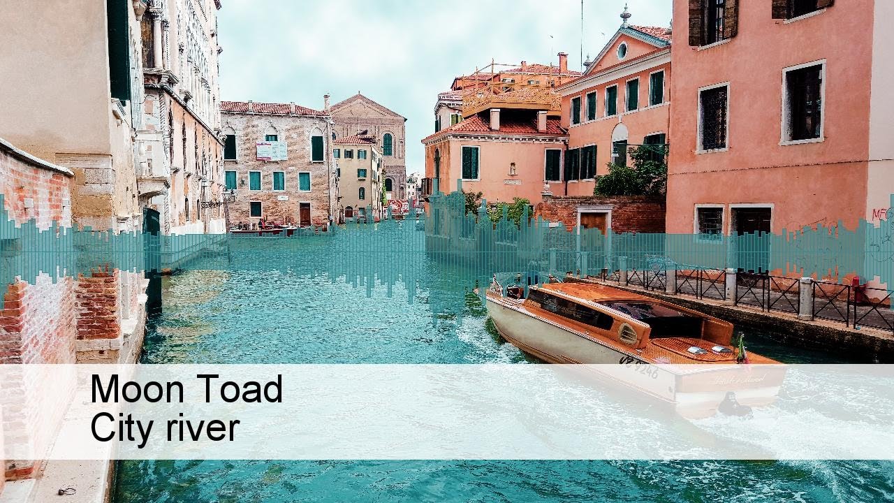 Moon Toad - City river - YouTube Music