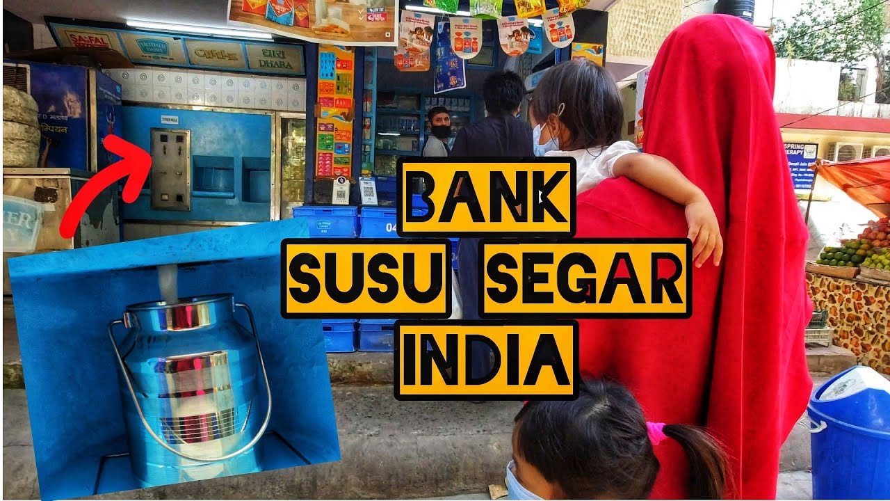 BELI SUSU SEGAR DI BANK SUSU DI INDIA | PRODUSEN SUSU TERBESAR KE -2 ...