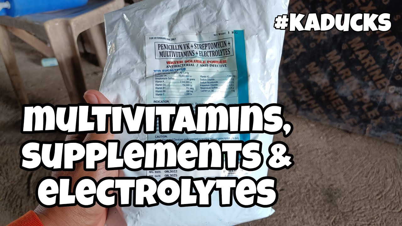 EP109 - MULTIVITAMINS & ELECTROLYTES Part 1 #kaducks - YouTube