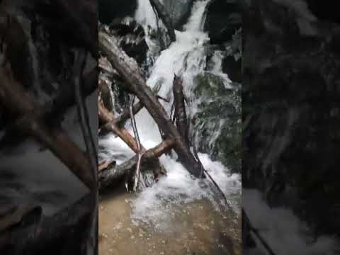 Beautiful waterfall in coorg August 24, 2025 - YouTube