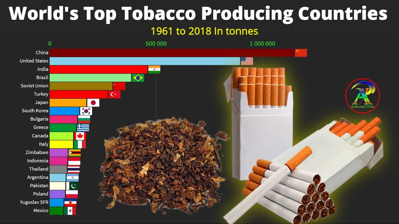 World’s Top Tobacco Producing Countries - YouTube