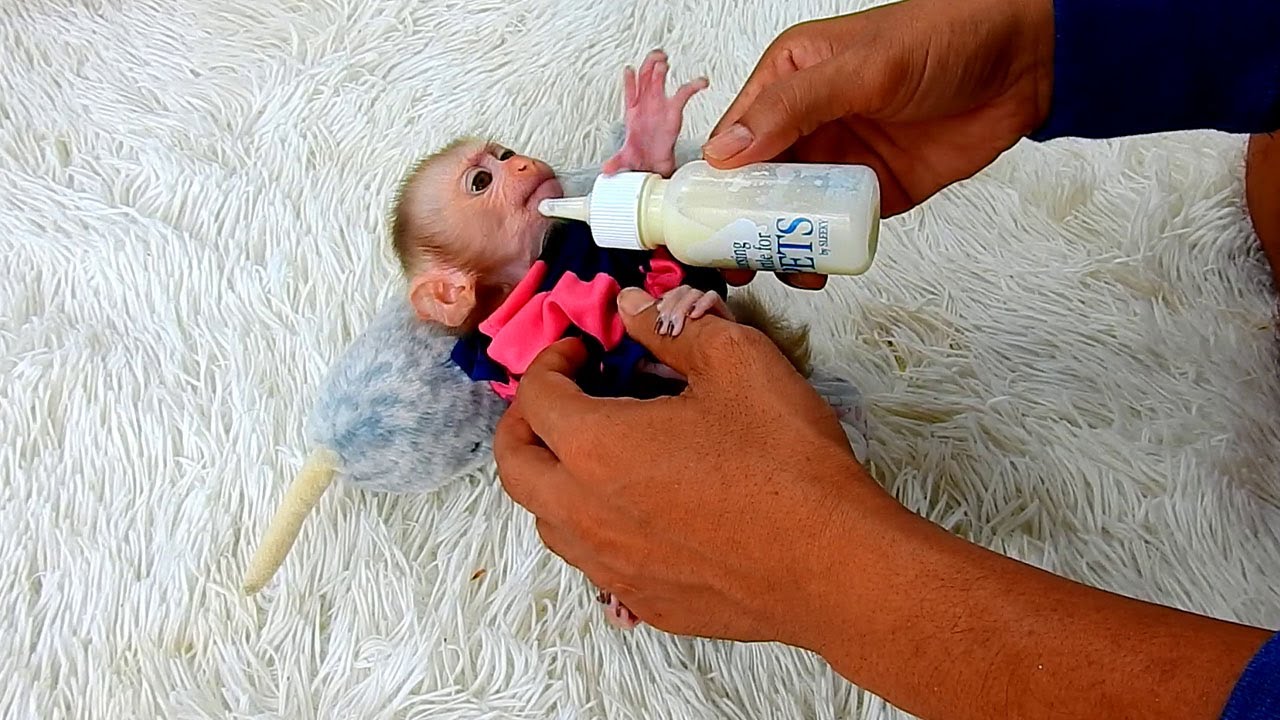 Adorable baby prepare to take a drink before he play - YouTube