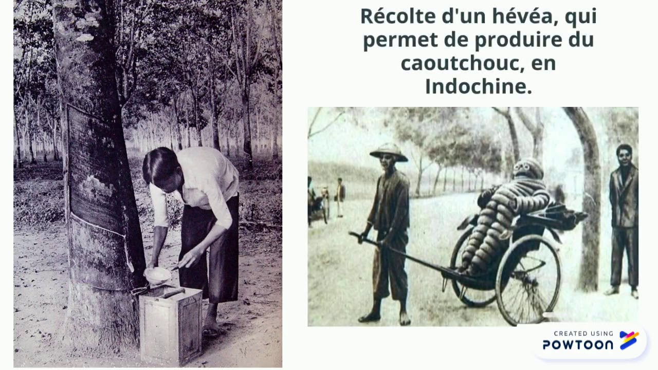 LES CAUSES DE LA COLONISATION - YouTube