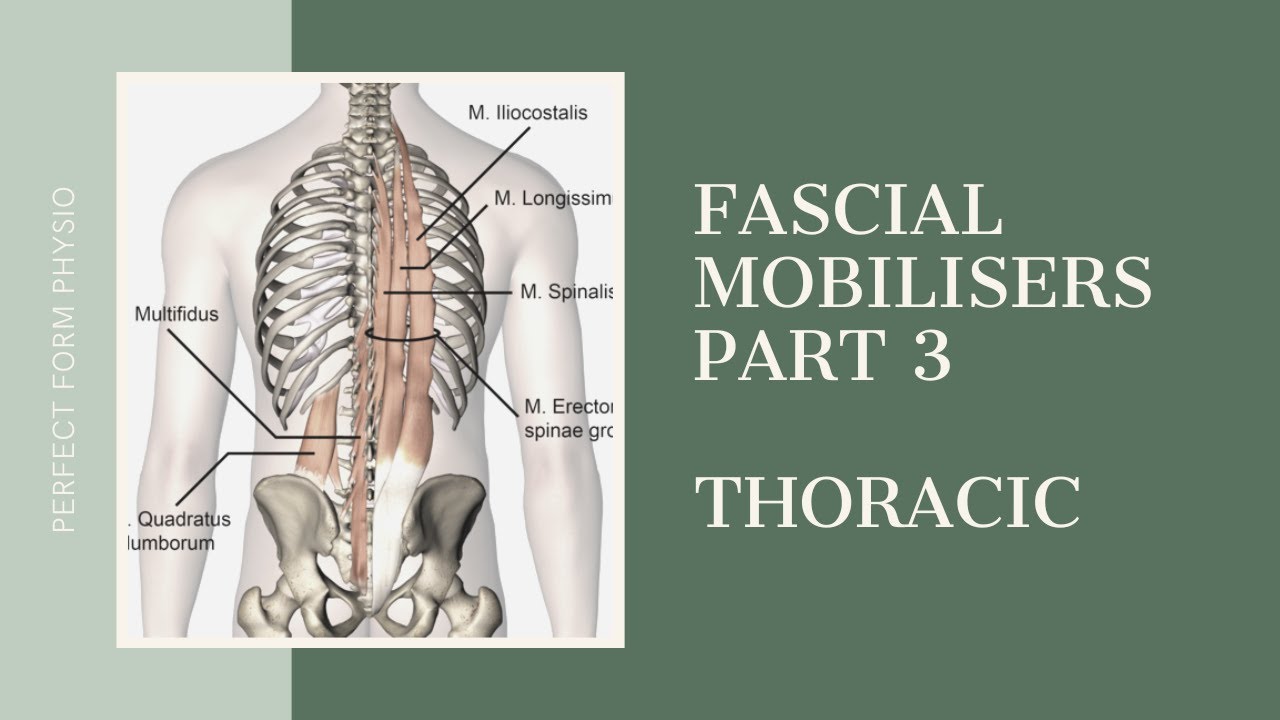 Part 3 - Fascial mobilisers for improving flexibility - with Sally ...
