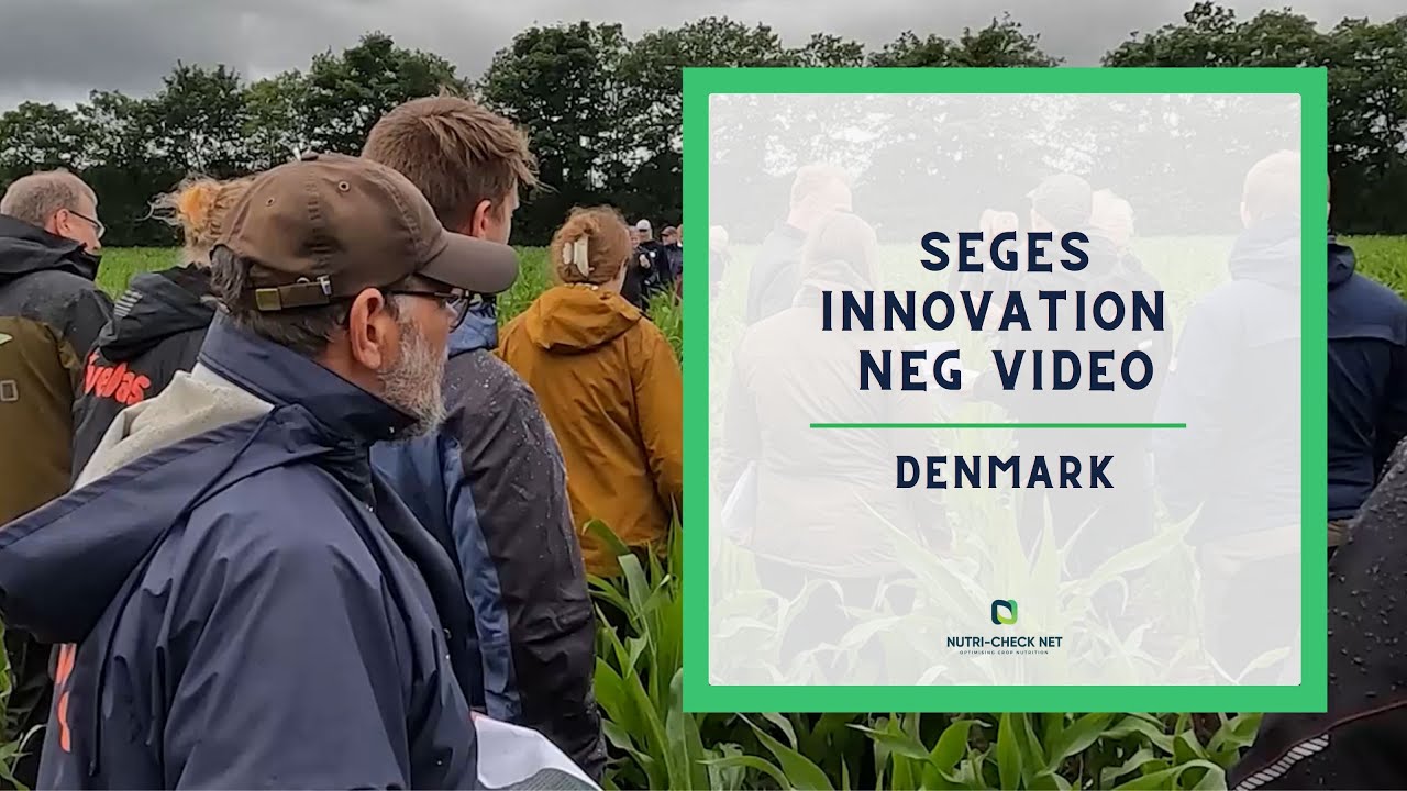 SEGES Innovation NEG Video | Denmark - YouTube