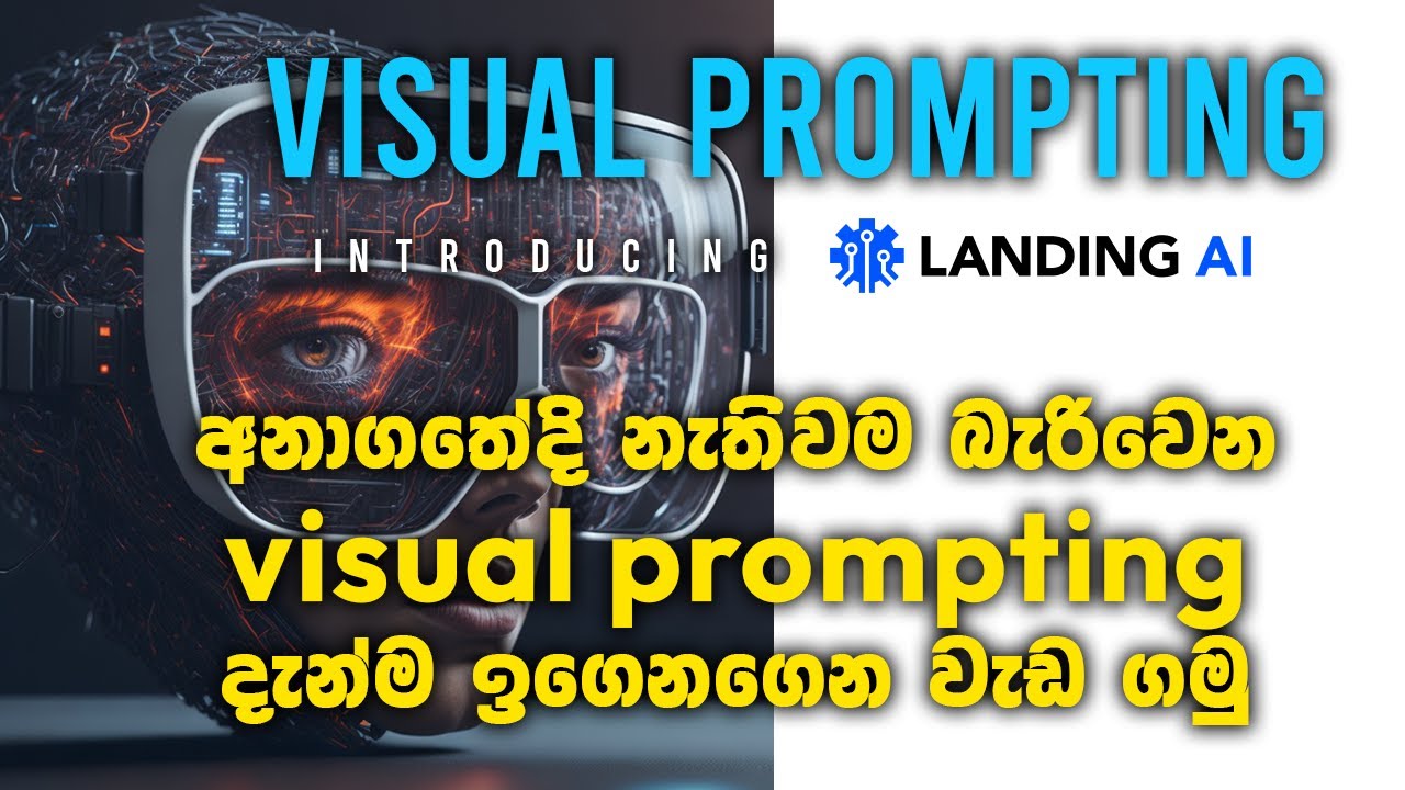 Visual Prompting Full Sinhala Guide | පිංතුර තේරුන් ගන්න කෘතීම බුද්ධි ...