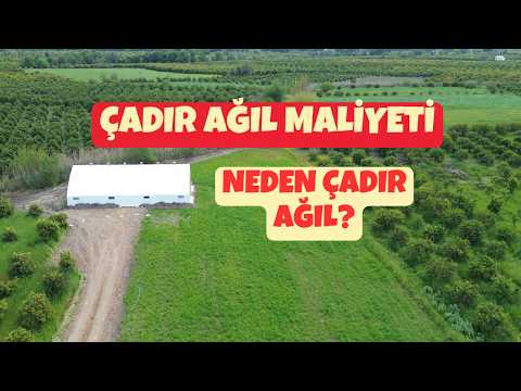 Çadır Ağıl Maliyeti | Neden Çadır Ağıl Yaptık ?