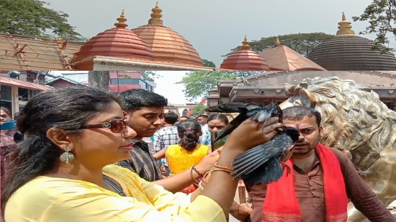 Mannat Kora jora payra 🕊️🕊️ chere aashlam Kamakhya Mandire . Aaj ...