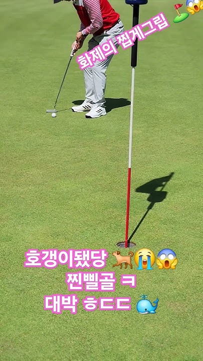 화제의 찝게그립 😭😱🐳골프골프존스크린골프nx골프존cc필드필드골프필드레슨웨지퍼터아이언비거리골프레슨숏게임숏아이언드라이버롱아이언우드유틸 Golf