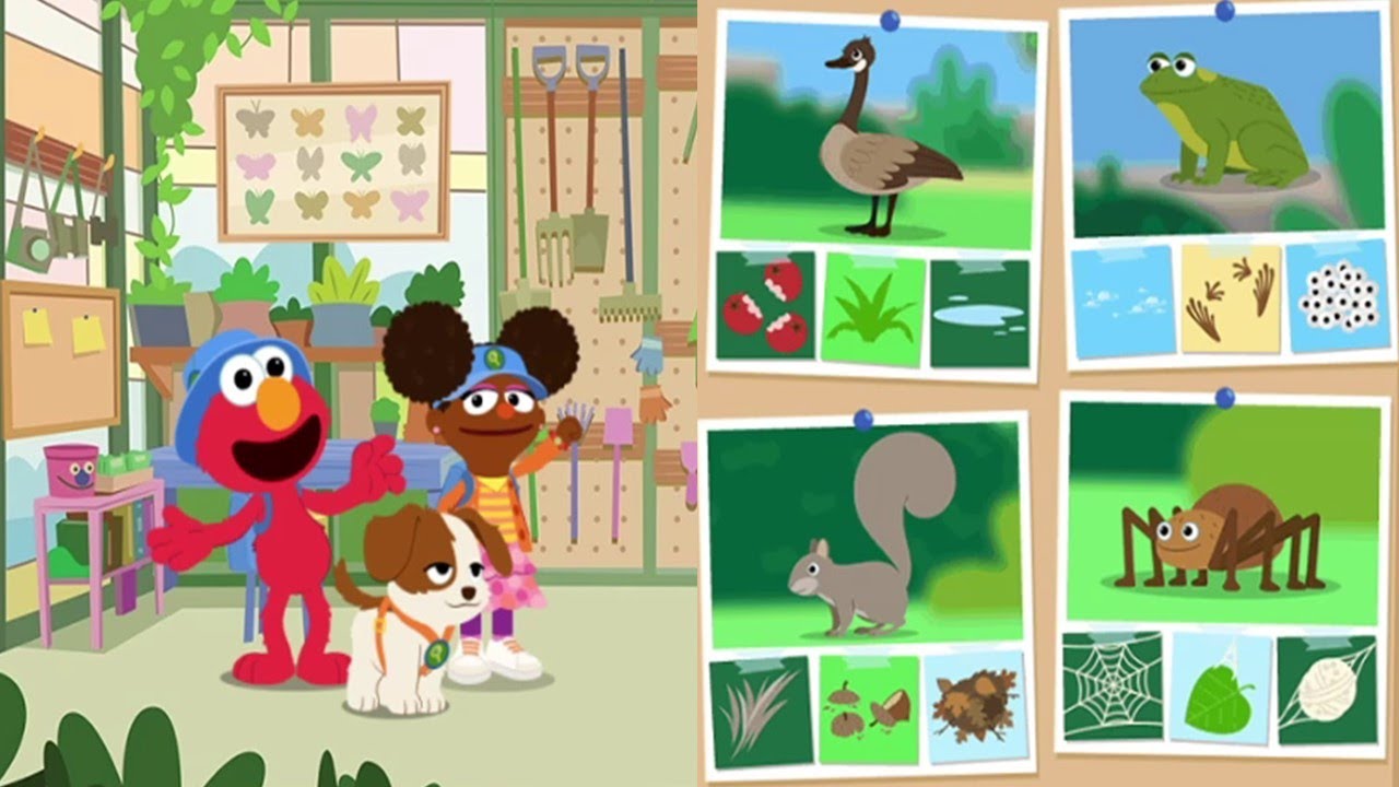 Sesame Street - NATURE EXPLORERS (Watchkreen Style) - YouTube