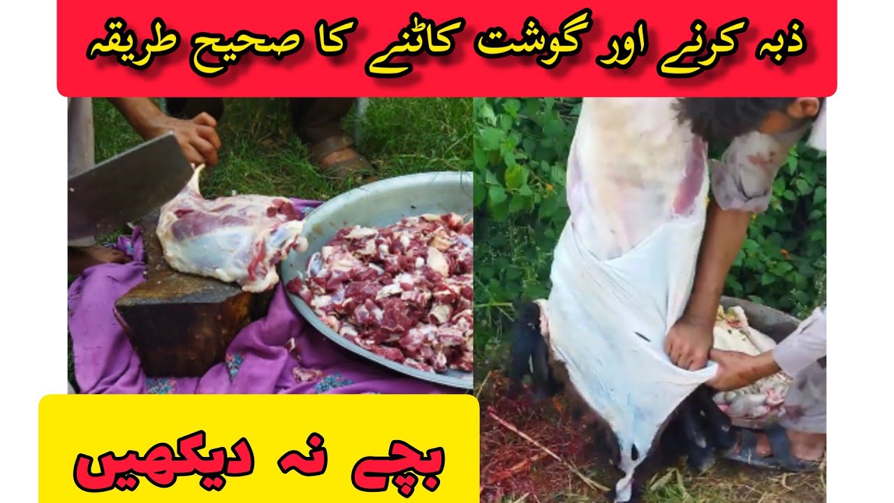 How to slaughter a goat | goat cutting | cutting an animal in Islamic ...
