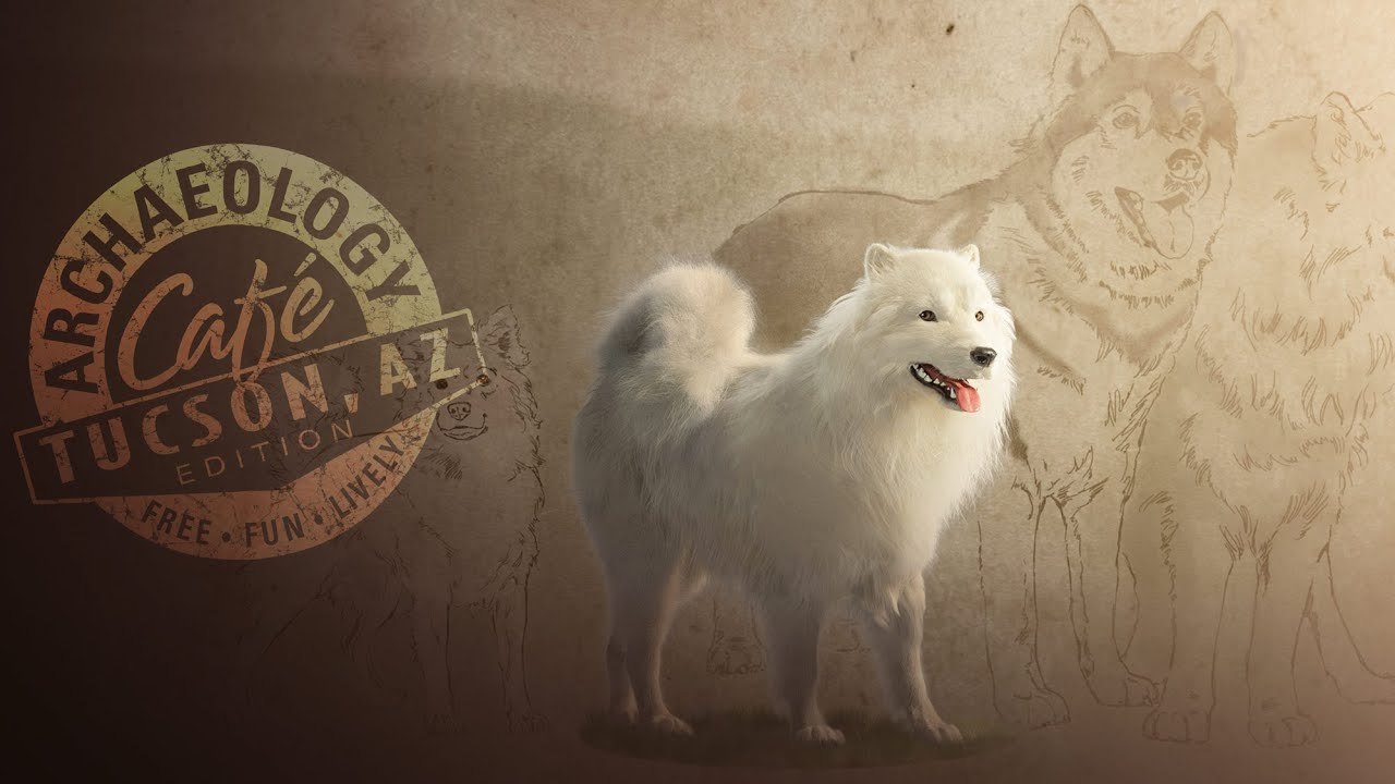 The History of the Coast Salish Woolly Dogs - YouTube