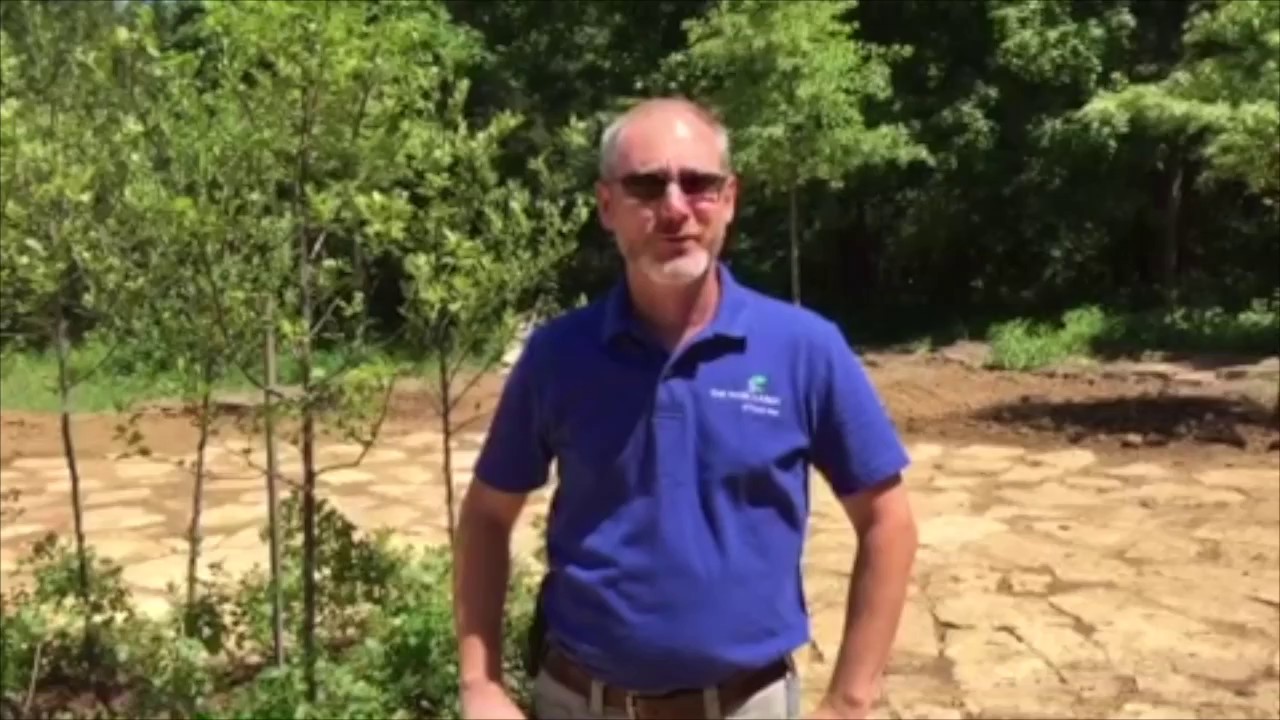 Members Make It Happen - Horticulture Director Tom Smarr - YouTube