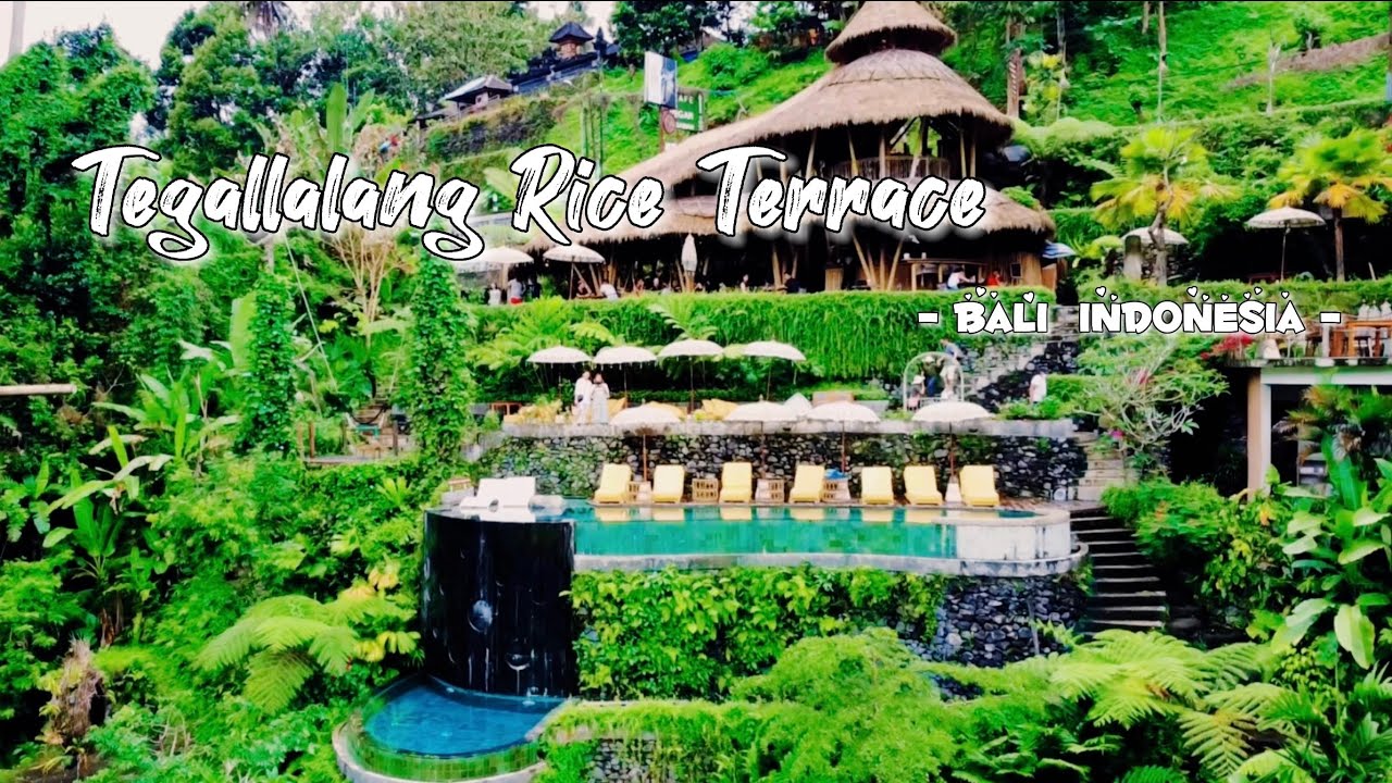 Bali Vlog Part 5 | Tegallalang Rice Terrace | Ubud Bali | TIS CAFE ...