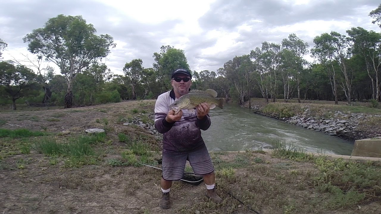 Skull Dragging Carp with Bycatch cod - YouTube