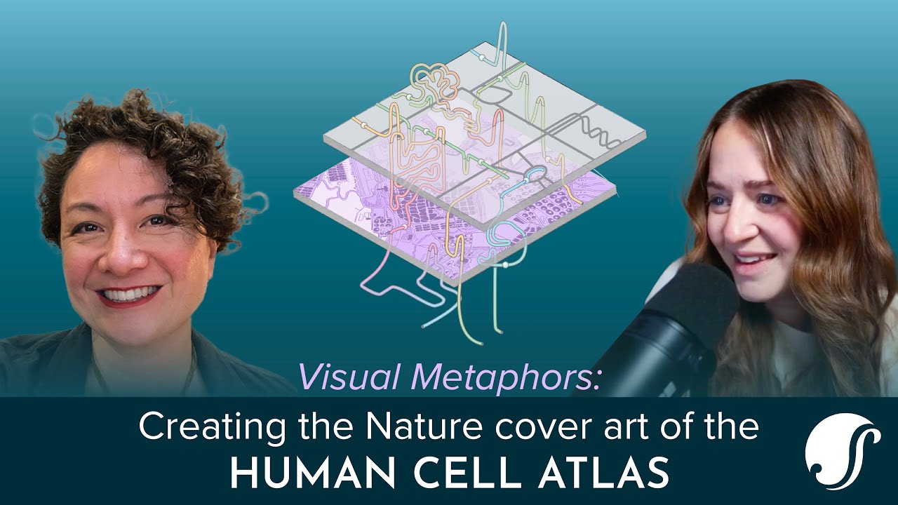 Visual Metaphors: Creating the Nature cover art of the Human Cell Atlas ...