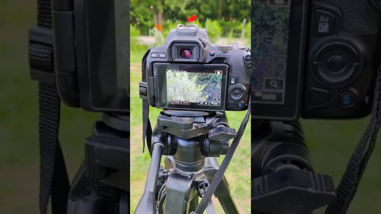 manual mode & Full Automatic mode कोन ज्यादा अच्छा है l vicky ...