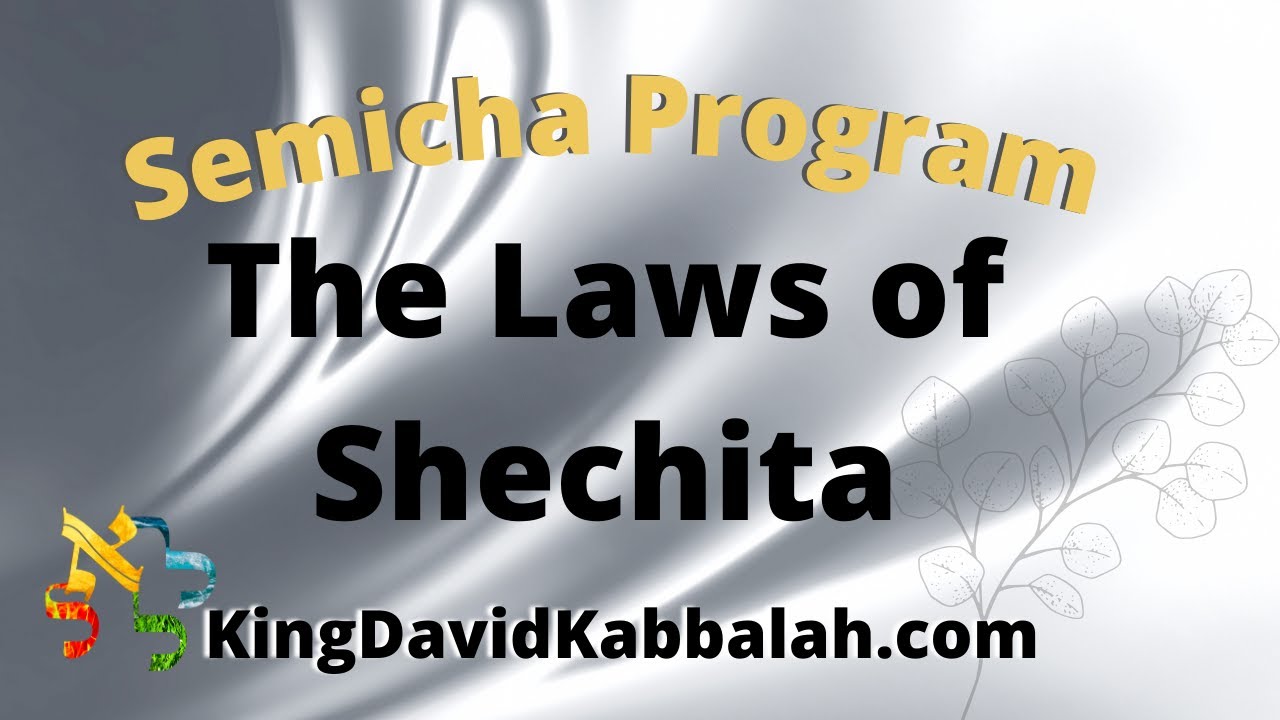 Shechita Semicha Classes Yoreah Deah סא paragraph כו laws of the 24 ...