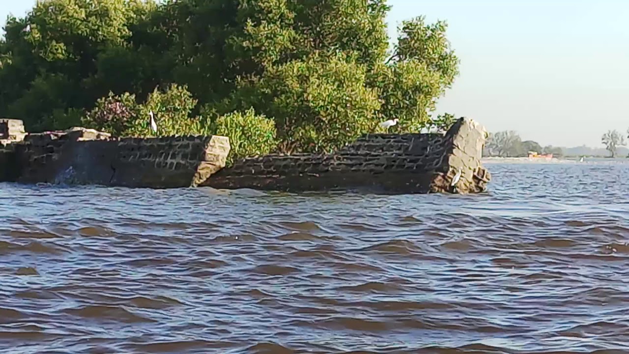 Migratory birds sigthing at Brgy. Tanza isla pulo - YouTube